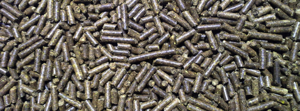 Bluebonnet Intensify® Pelleted - Corrales, NM - Village Mercantile
