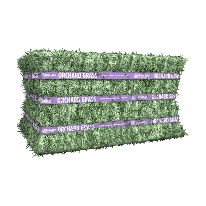 Standlee Premium Orchard Grass Compressed Bale - Corrales, NM - Village ...