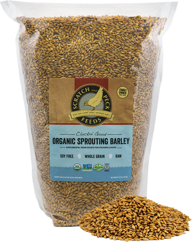 Scratch and Peck Feeds Cluckin’ Good Organic Whole Barley - Corrales ...