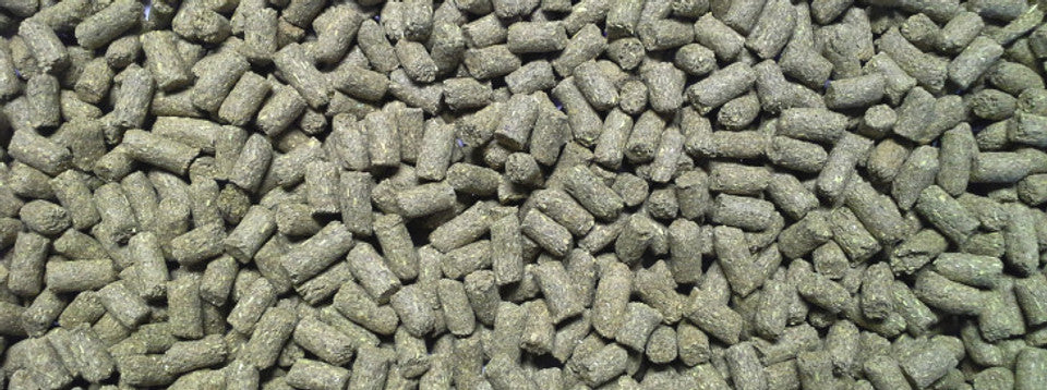Bluebonnet Intensify® Ex-Factor® Low Starch - Corrales, NM - Village ...